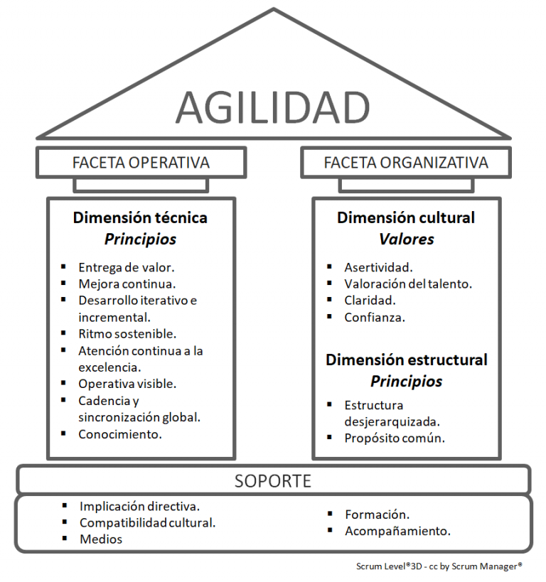 Scrum Level 3D: guía para evaluar y mejorar la agilidad de la empresa ...